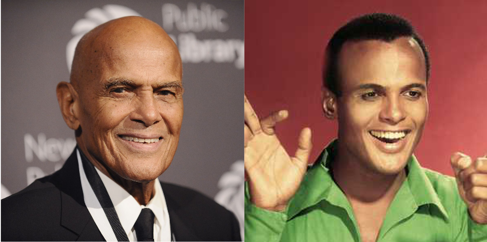 Harry Belafonte, Activist and Entertainer, Dies at 96 - The Community Voice